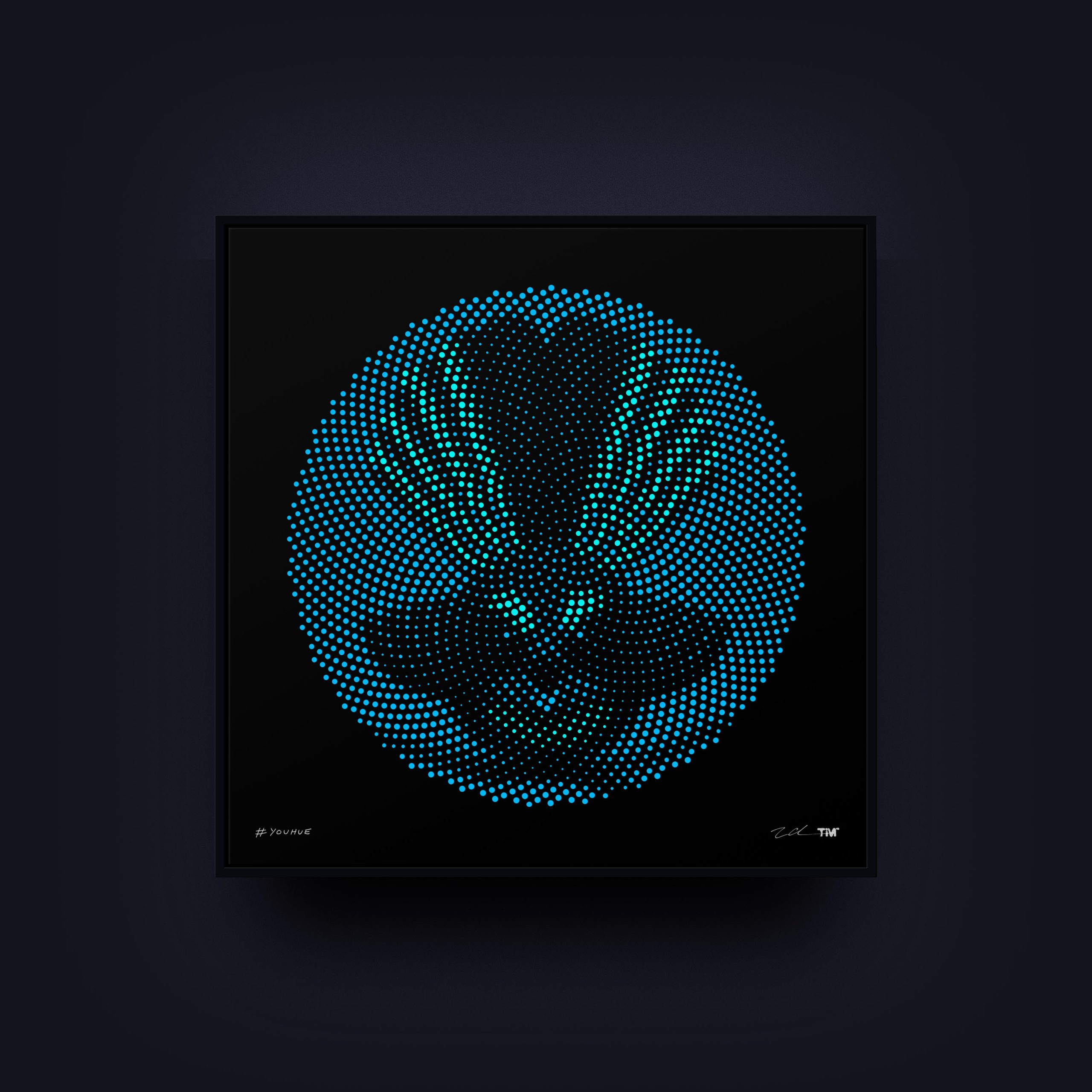 Piwakawaka / Polydot - Tim Christie